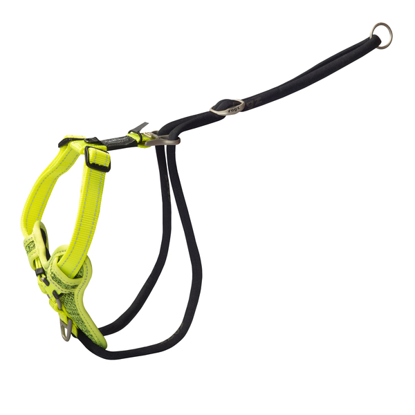 stop pull dog harness best - Buy Rogz. Technical Gear For Leaders of ...