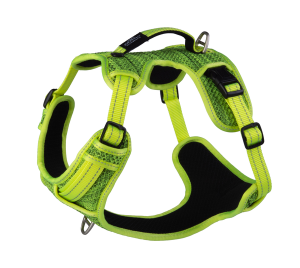 Rogz Explore Harness - Buy Rogz. Technical Gear For Leaders of The Pack