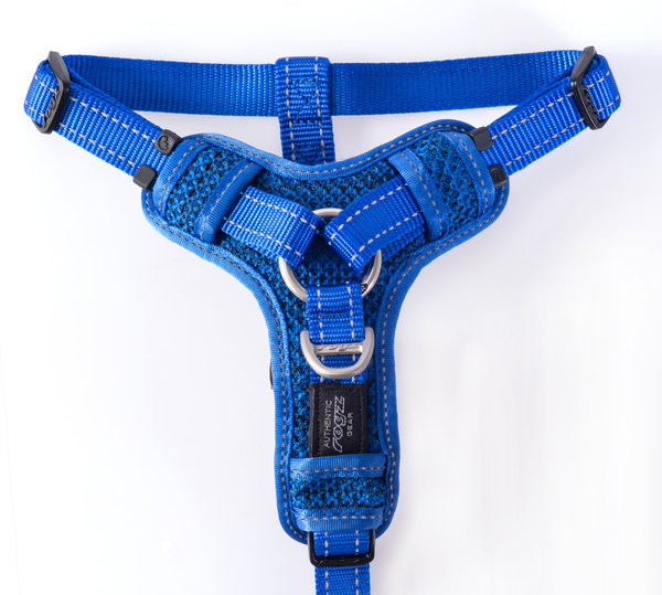Rogz Classic Control Harness - Buy Rogz. Technical Gear For Leaders of ...