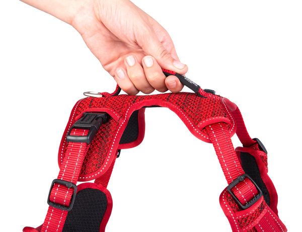Rogz Explore Harness - Buy Rogz. Technical Gear For Leaders of The Pack