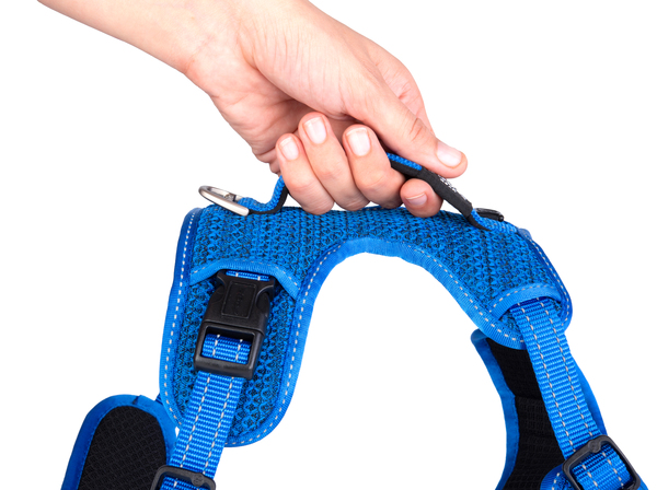 Rogz Explore Harness - Buy Rogz. Technical Gear For Leaders of The Pack