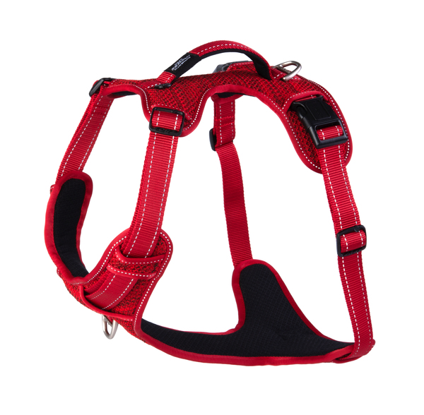 Rogz Explore Harness - Buy Rogz. Technical Gear For Leaders of The Pack