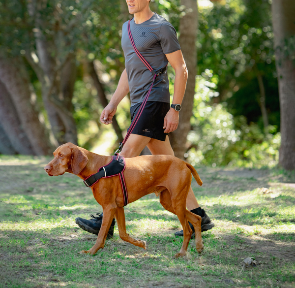 Rogz AirTech Multi Leash Lead - Buy Rogz. Technical Gear For Leaders of ...